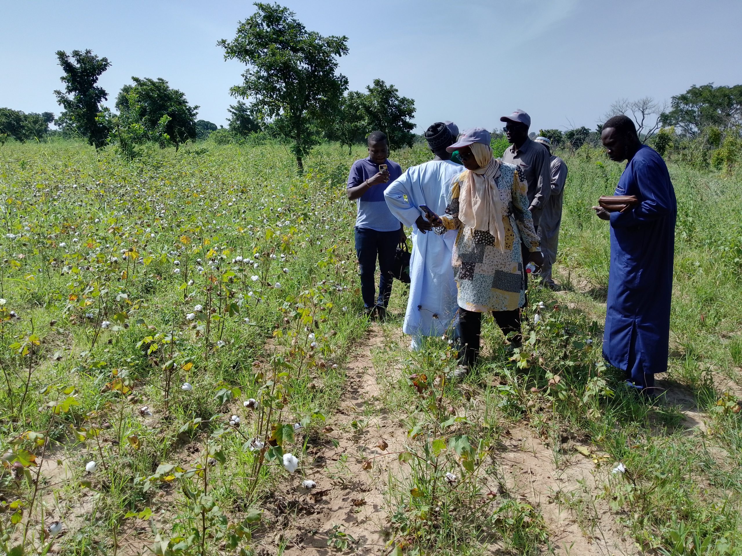 Les CUMA du Sénégal en visite au Benin - Cuma Bénin